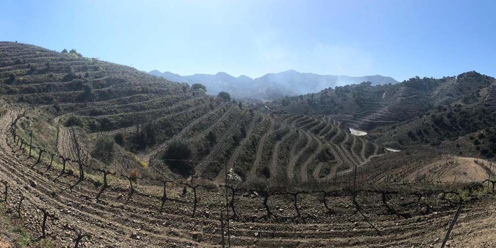 Private Wine tour to Priorat Region - Discover two wineries in one day